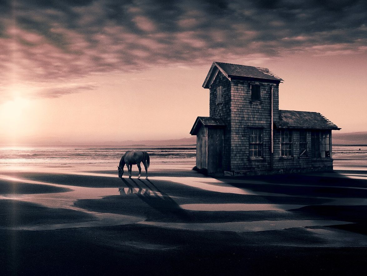 Riding Through the Desert – Zooscape