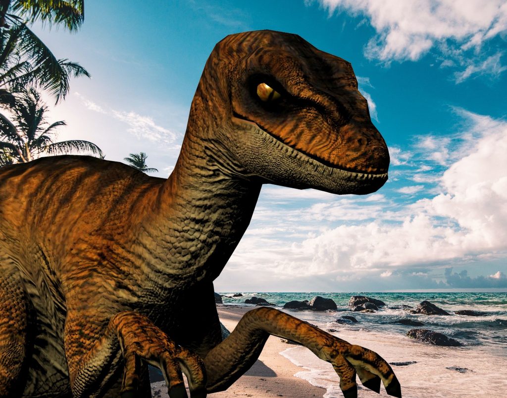 Swift Shadow’s Solace – Zooscape