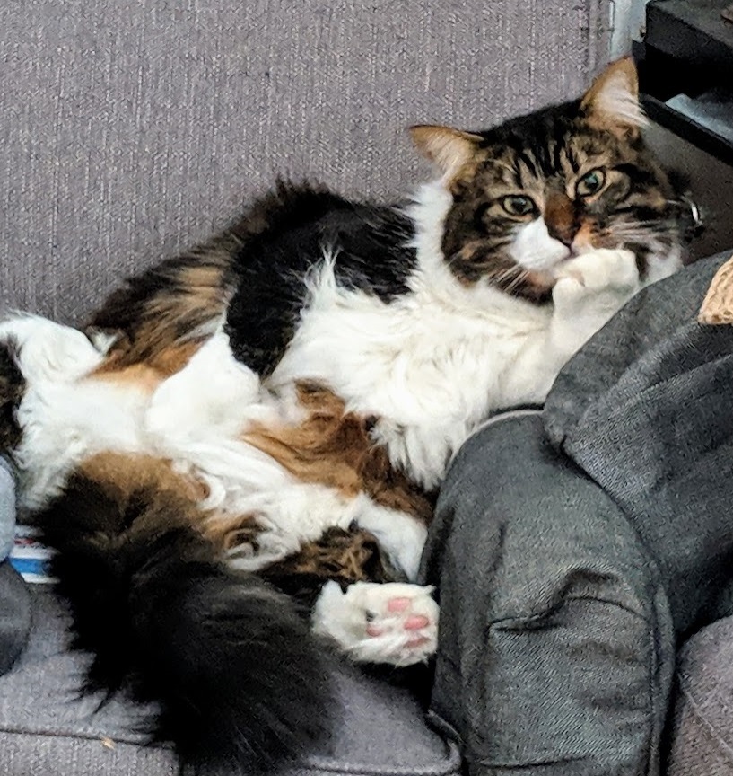 The Goddess of Secrets – Zooscape